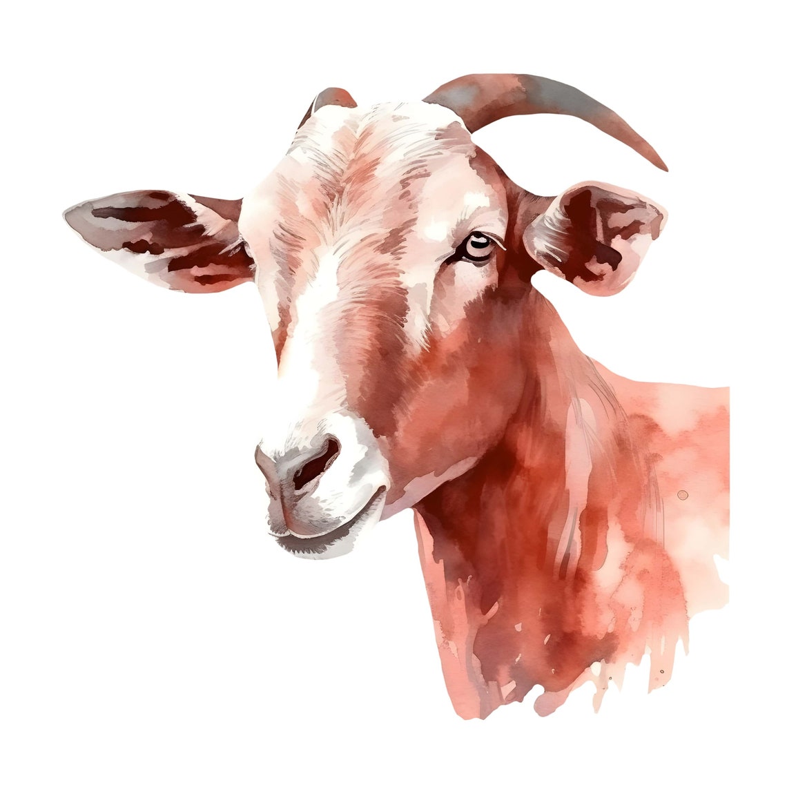 10 Watercolor Goat Clipart Aquarelle Drawing Goat Clipart - Etsy