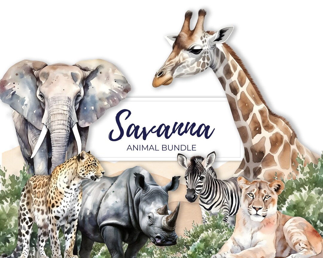 60 Watercolor Savanna Animal Clipart, Aquarelle Elephant Giraffe Lion ...