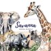 60 Watercolor Savanna Animal Clipart, Aquarelle Elephant Giraffe Lion ...