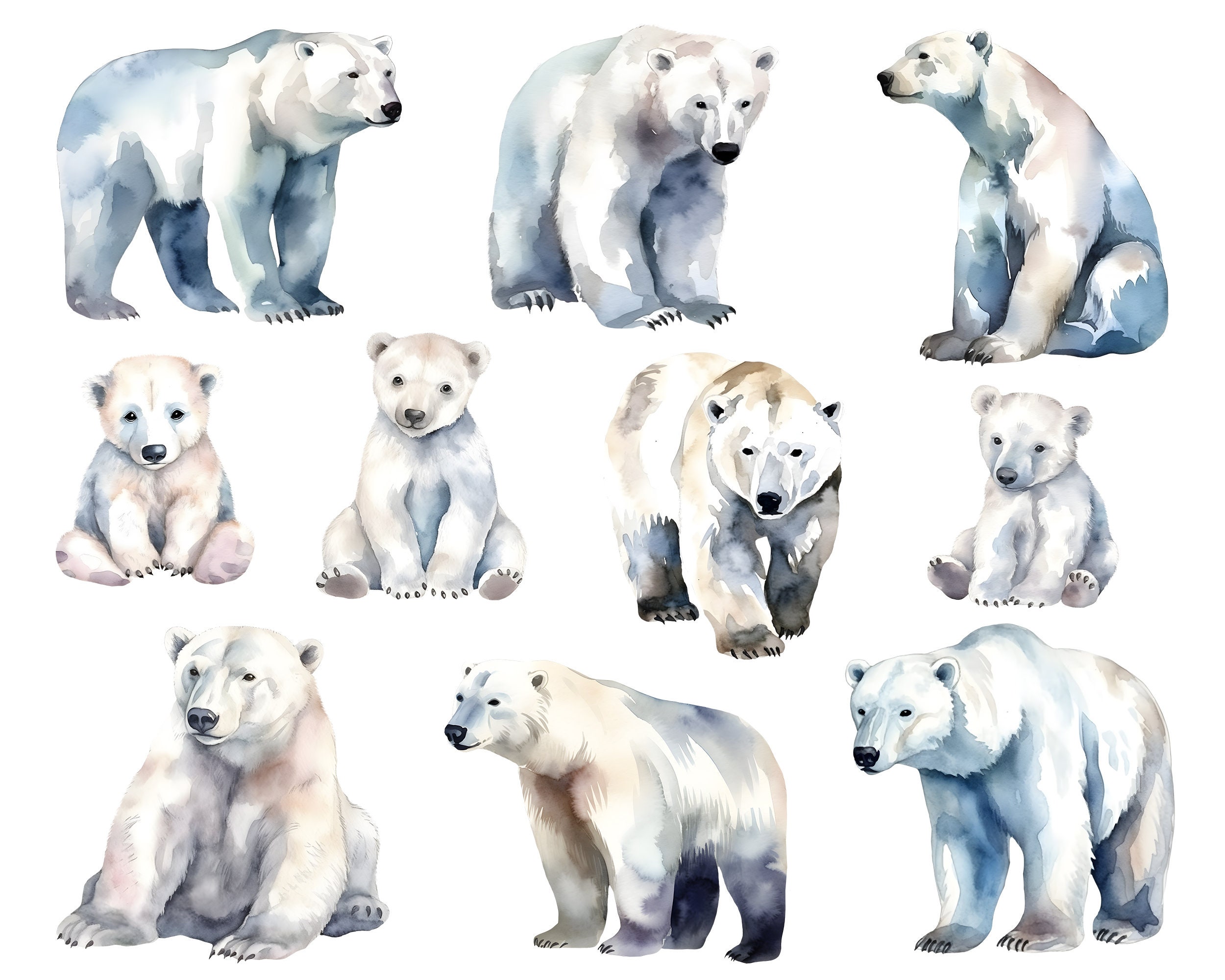 10 Watercolor Polar Bear Clipart, Aquarelle Bear Clipart, Arctic Animal ...