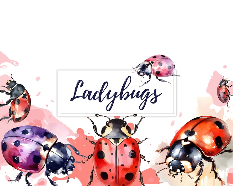 10 Watercolor Ladybugs Clipart Aquarelle Ladybugs Clipart - Etsy