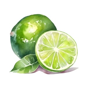 15 Watercolor Citrus Fruit Clipart, Aquarella Citruses Food Clipart ...