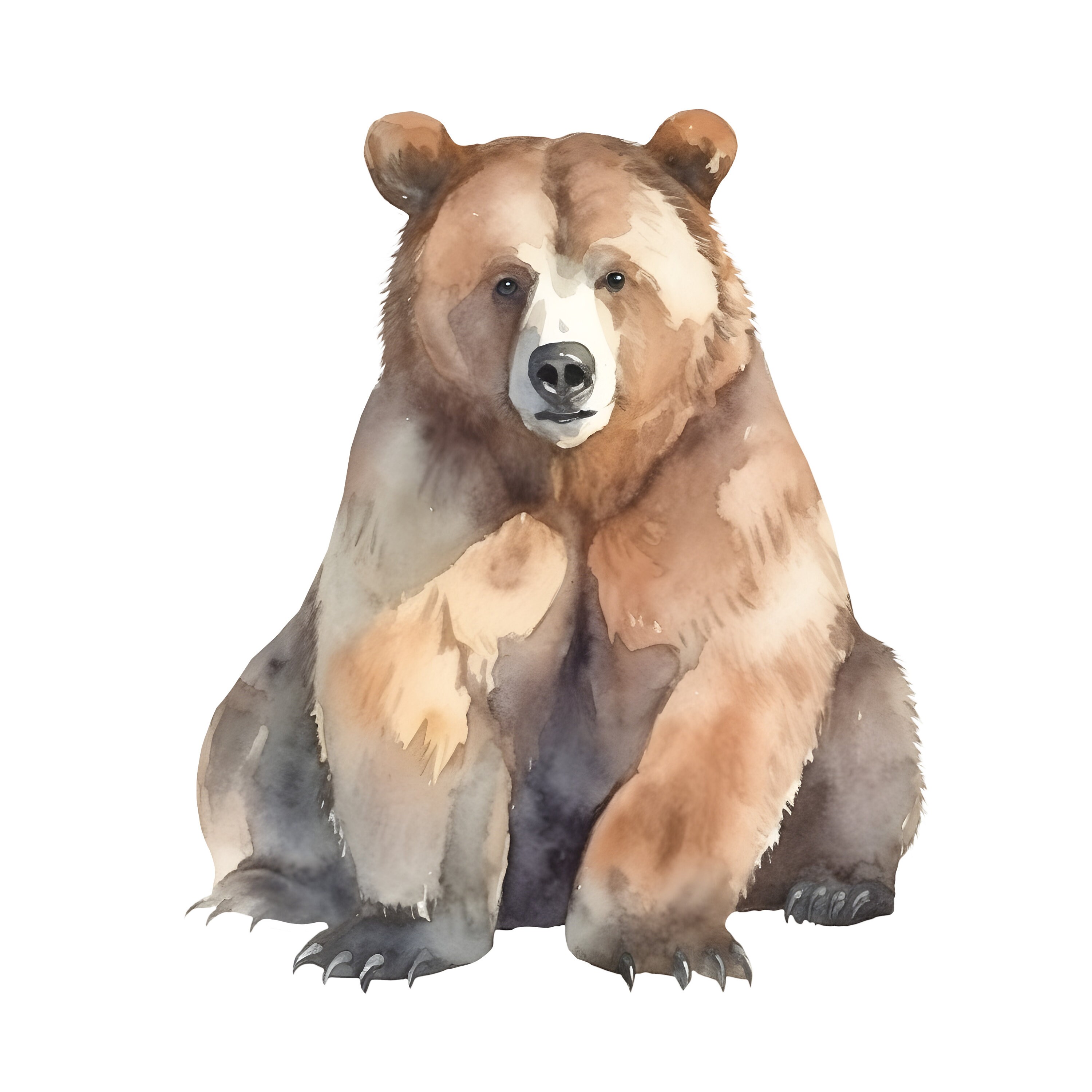 10 Watercolor Brown Bear Clipart, Aquarelle Bear Clipart, Forest Animal ...