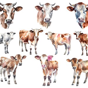 10 Watercolor Cow Clipart, Aquarelle Drawing Cow Calf Clipart, Farm ...