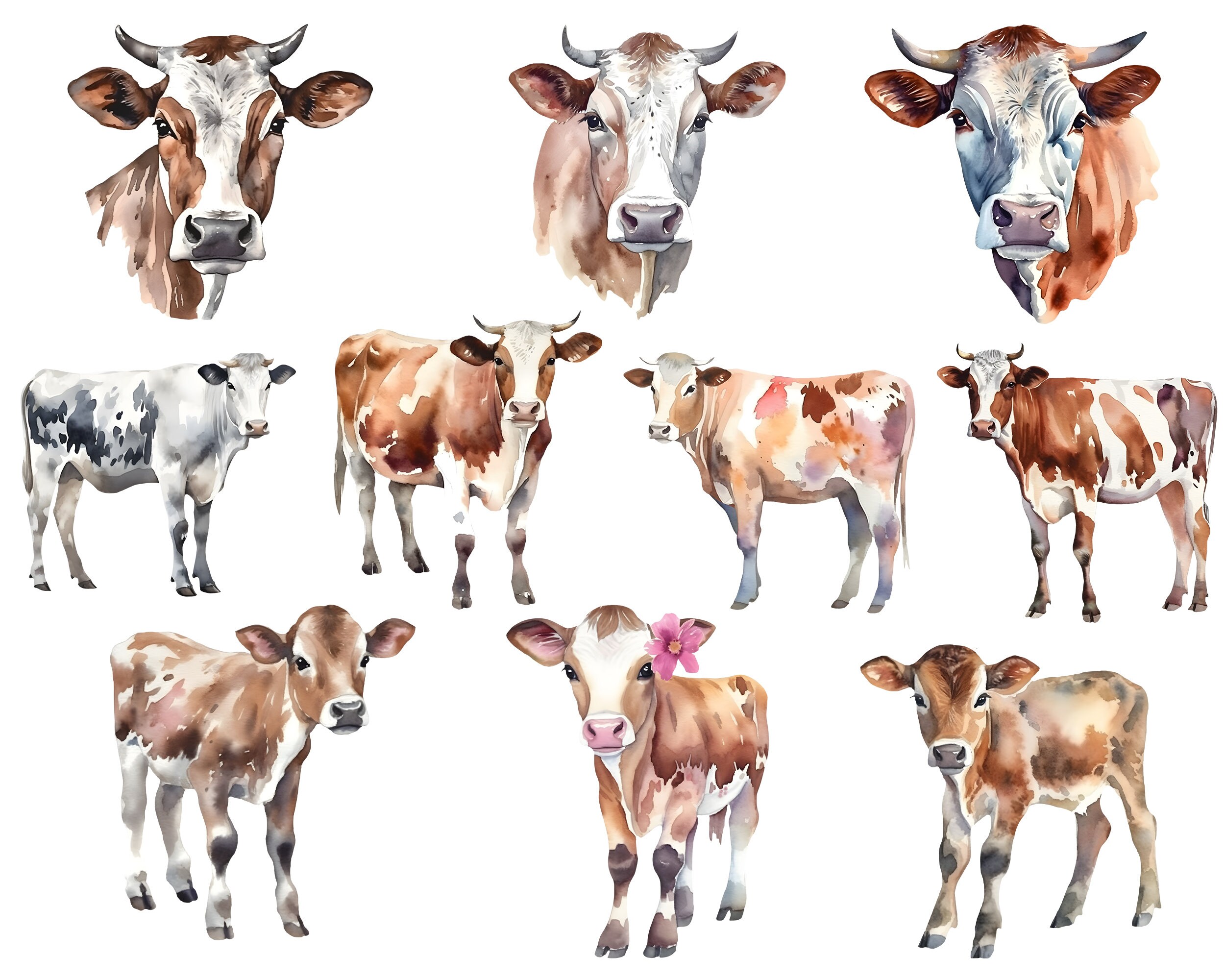 10 Watercolor Cow Clipart, Aquarelle Drawing Cow Calf Clipart, Farm ...