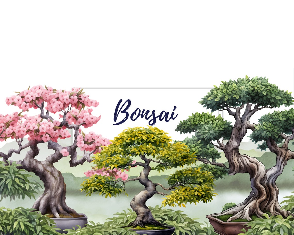 20 Watercolor Bonsai Tree Clipart Aquarelle Drawing Bonsai - Etsy