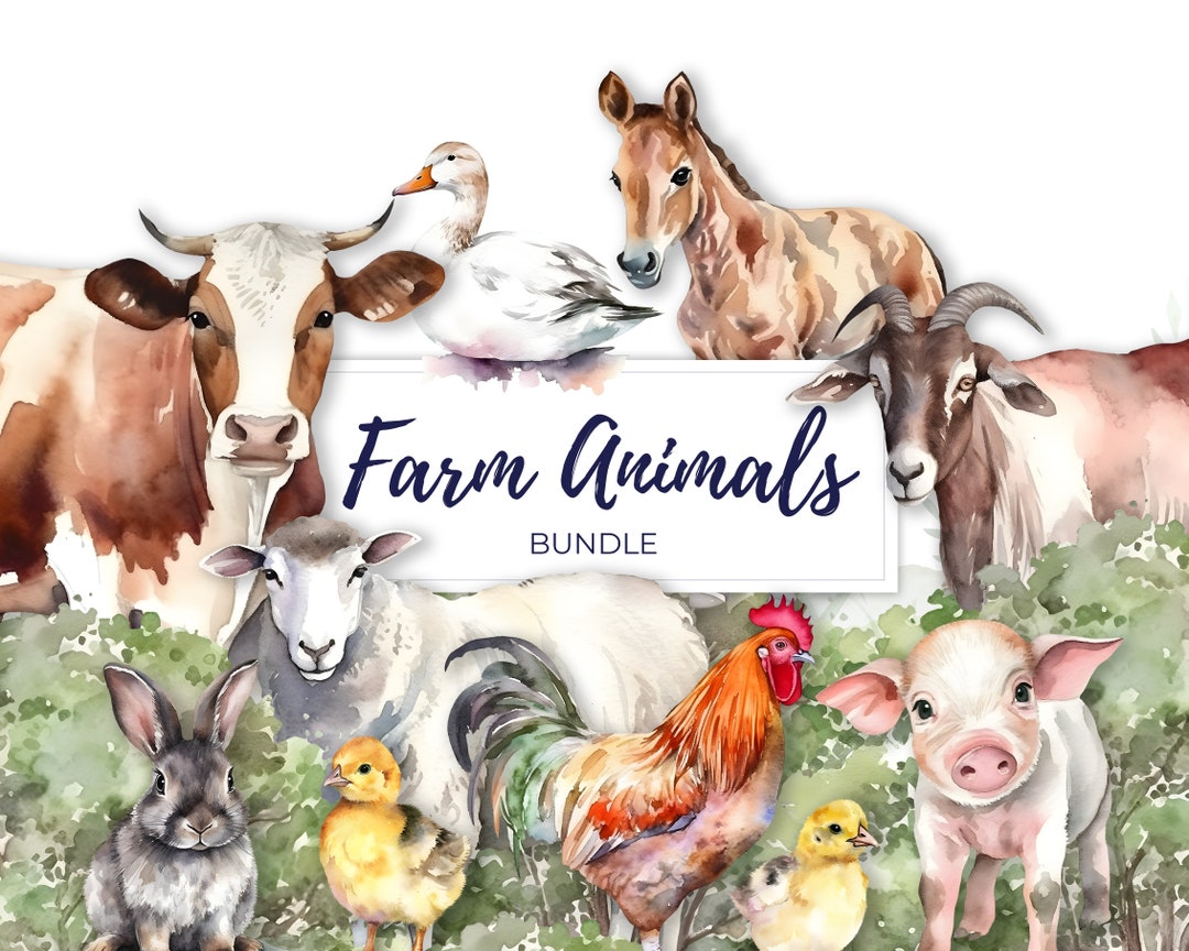 115 Watercolor Farm Animal Clipart, Aquarelle Drawing Chicken Rooster ...