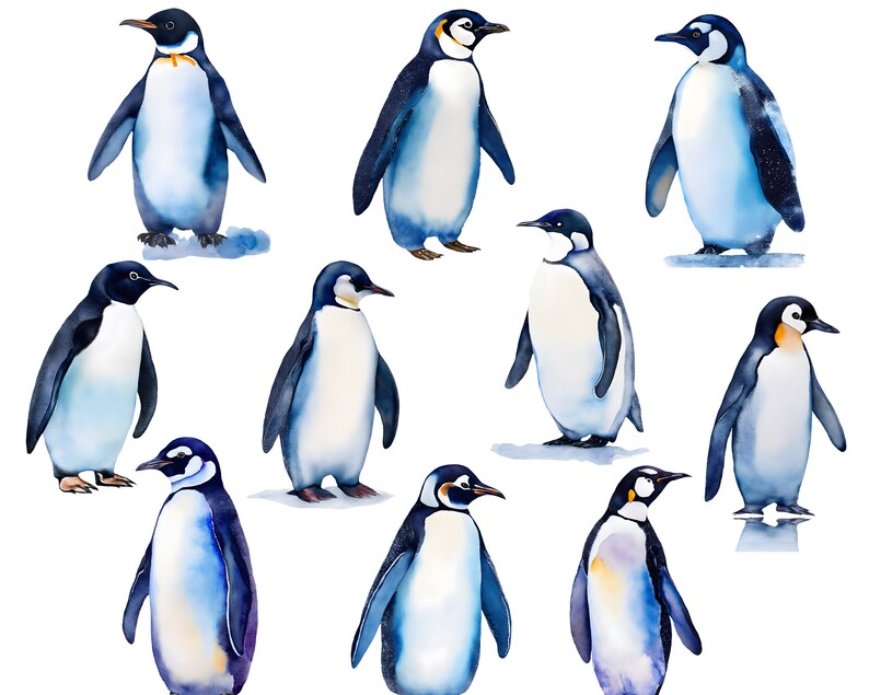 10 Watercolor Penguin Clipart Aquarelle Drawing Penguin - Etsy