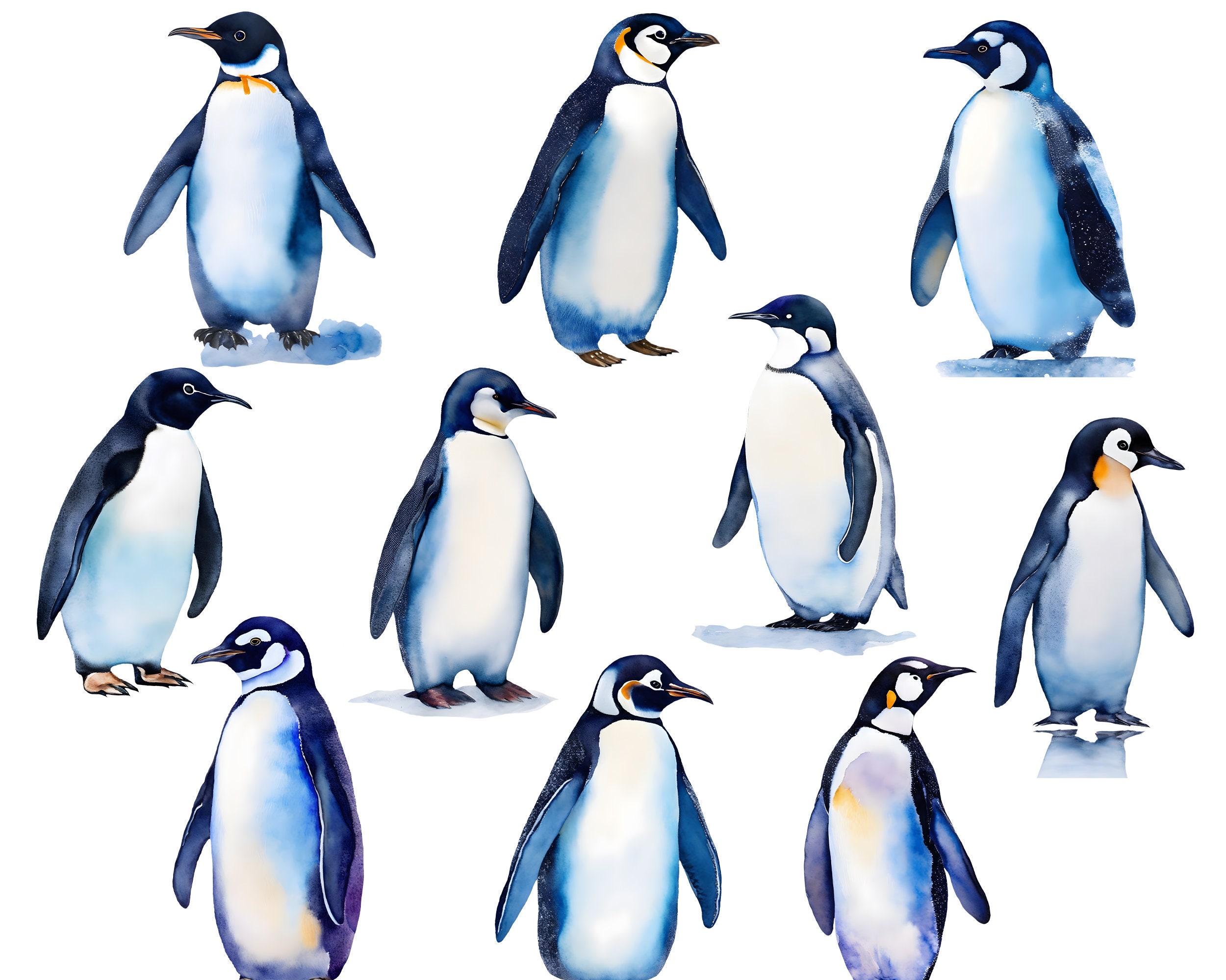 10 Watercolor Penguin Clipart Aquarelle Drawing Penguin - Etsy