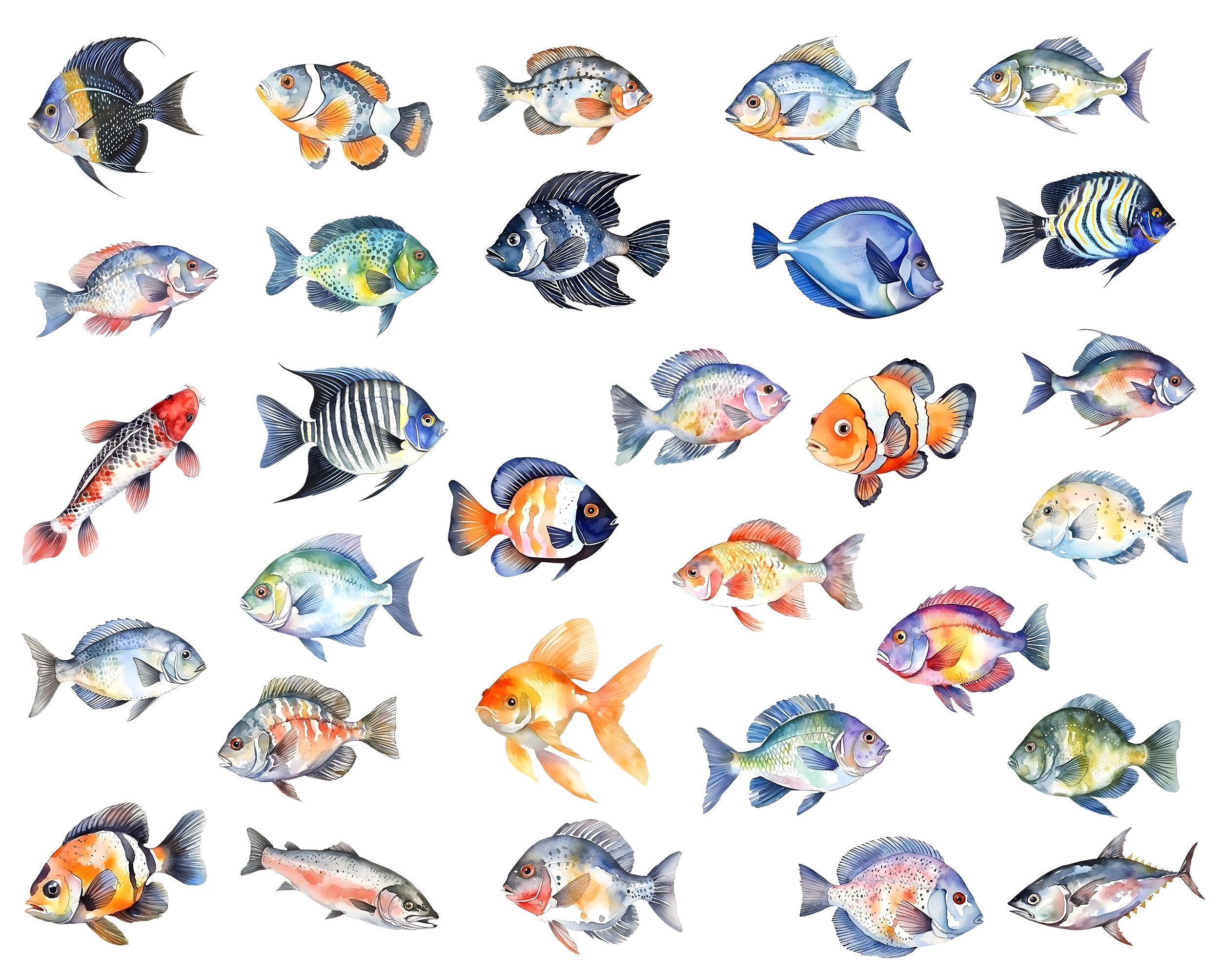 30 Watercolor Fish Clipart, Aquarelle Drawing Sea River Fish Clipart ...