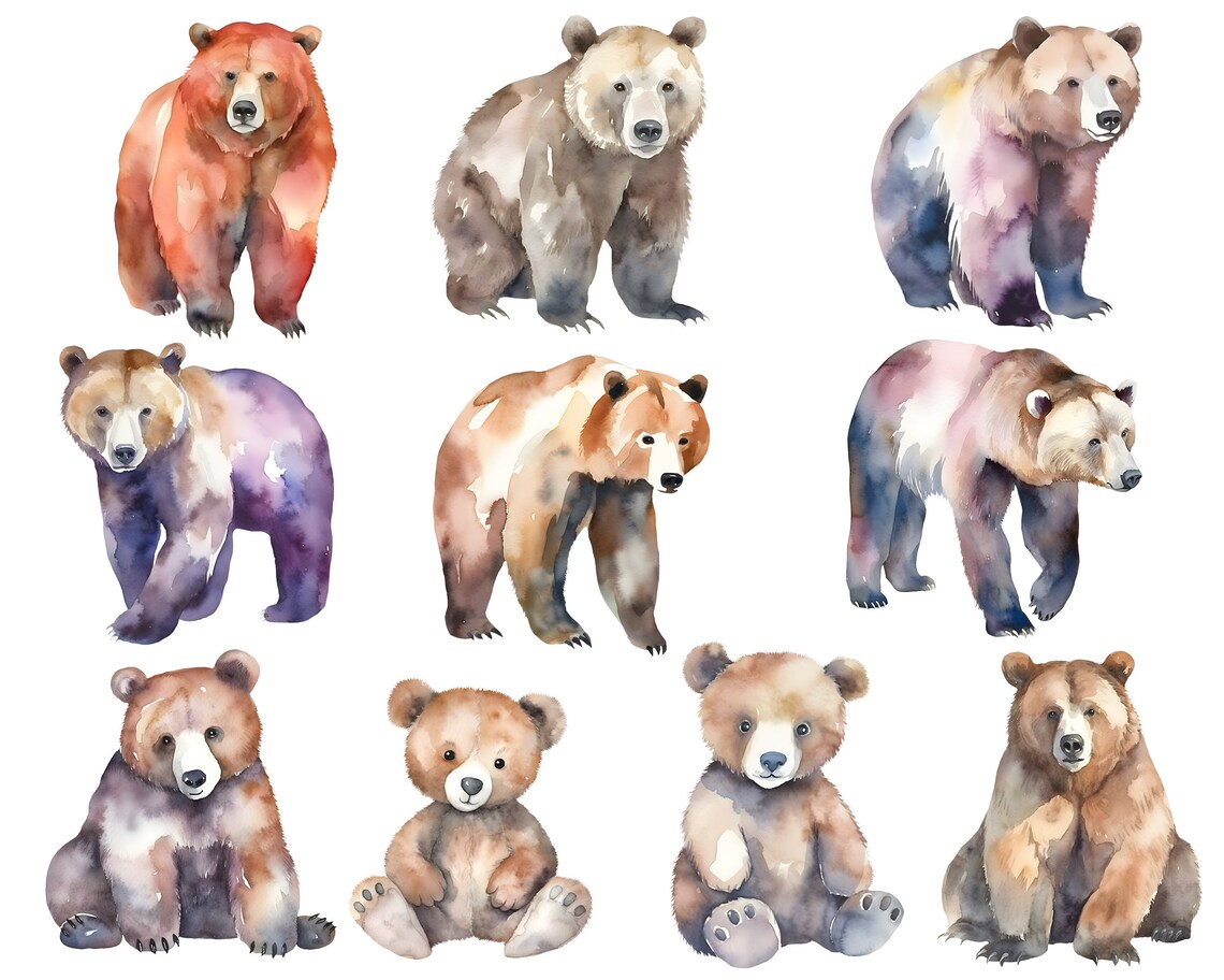 10 Watercolor Brown Bear Clipart, Aquarelle Bear Clipart, Forest Animal ...