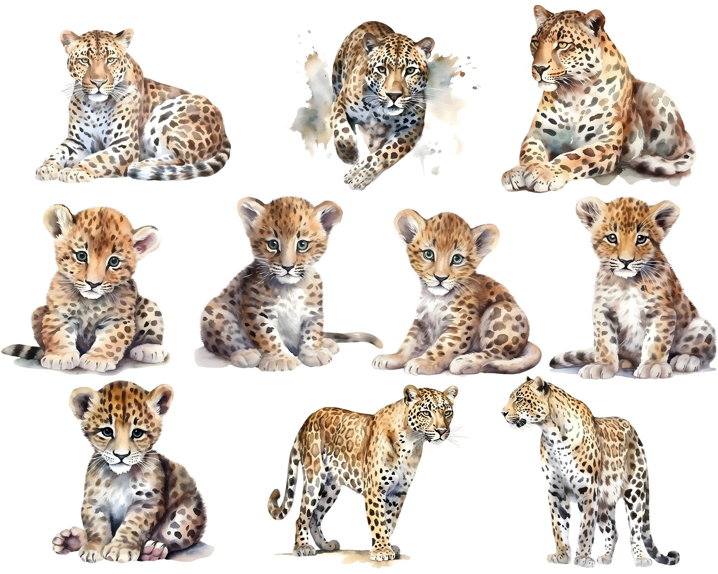 60 Watercolor Savanna Animal Clipart, Aquarelle Elephant Giraffe Lion ...