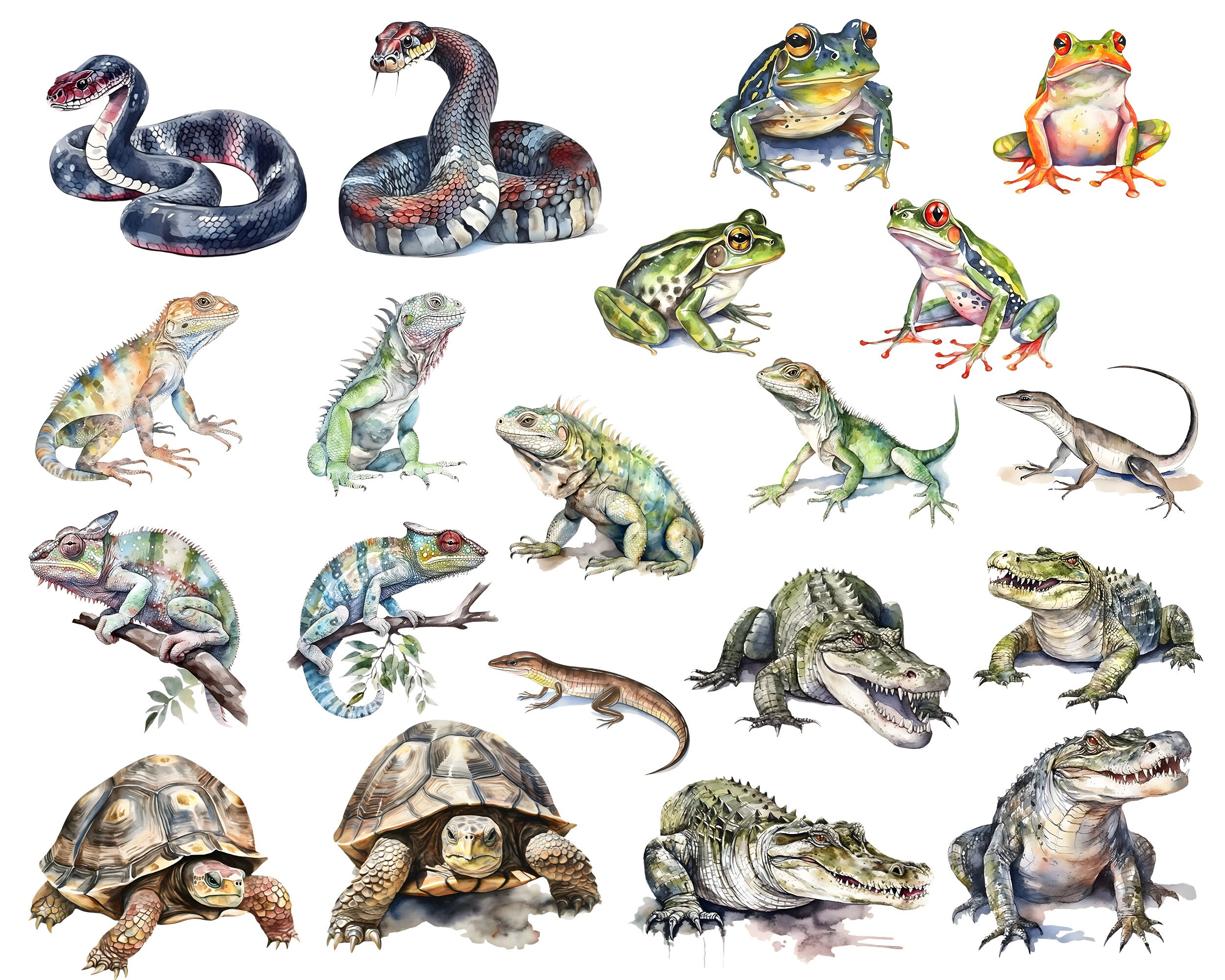 20 Watercolor Reptile Clipart, Aquarelle Drawing Crocodile Turtle ...