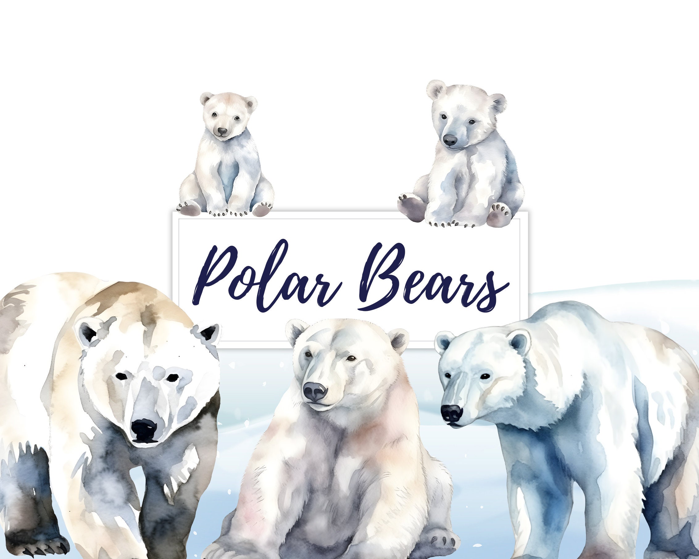 10 Watercolor Polar Bear Clipart, Aquarelle Bear Clipart, Arctic Animal ...