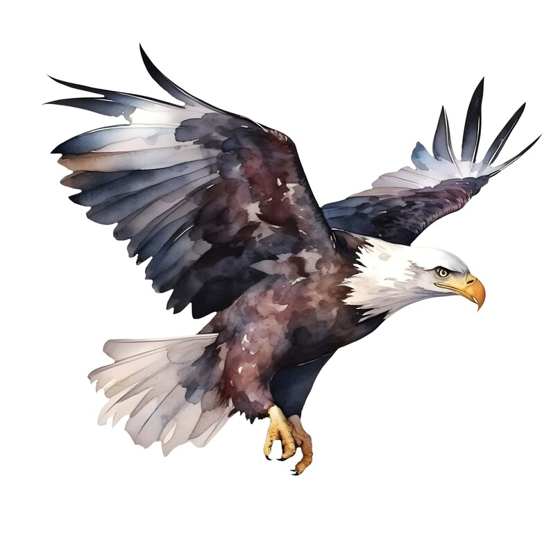 10 Watercolor Eagle Clipart, Aquarelle Eagle Clipart, Nature Forest ...
