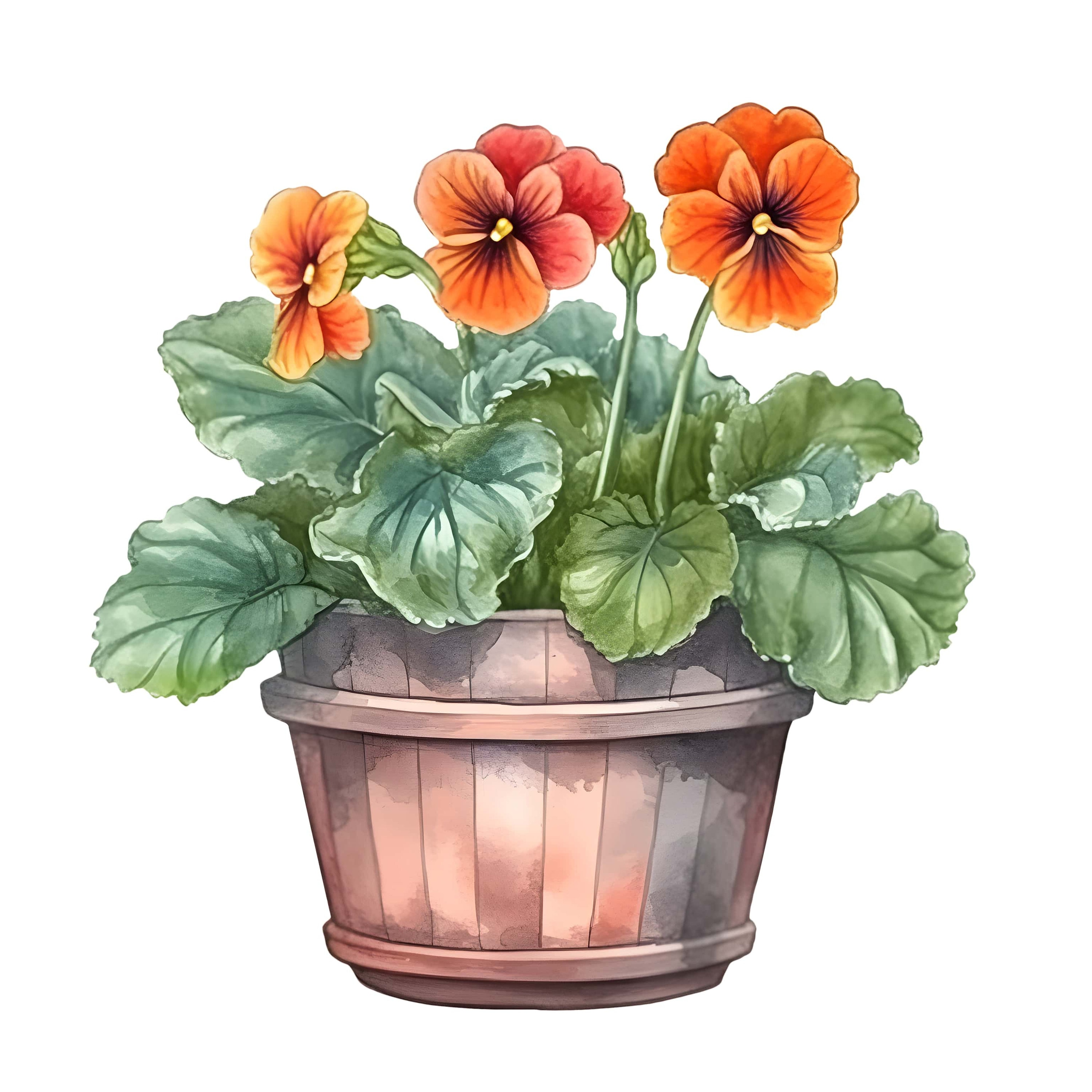 10 Watercolor Potted Flowers Clipart, Aquarelle Drawing Flower Pot ...