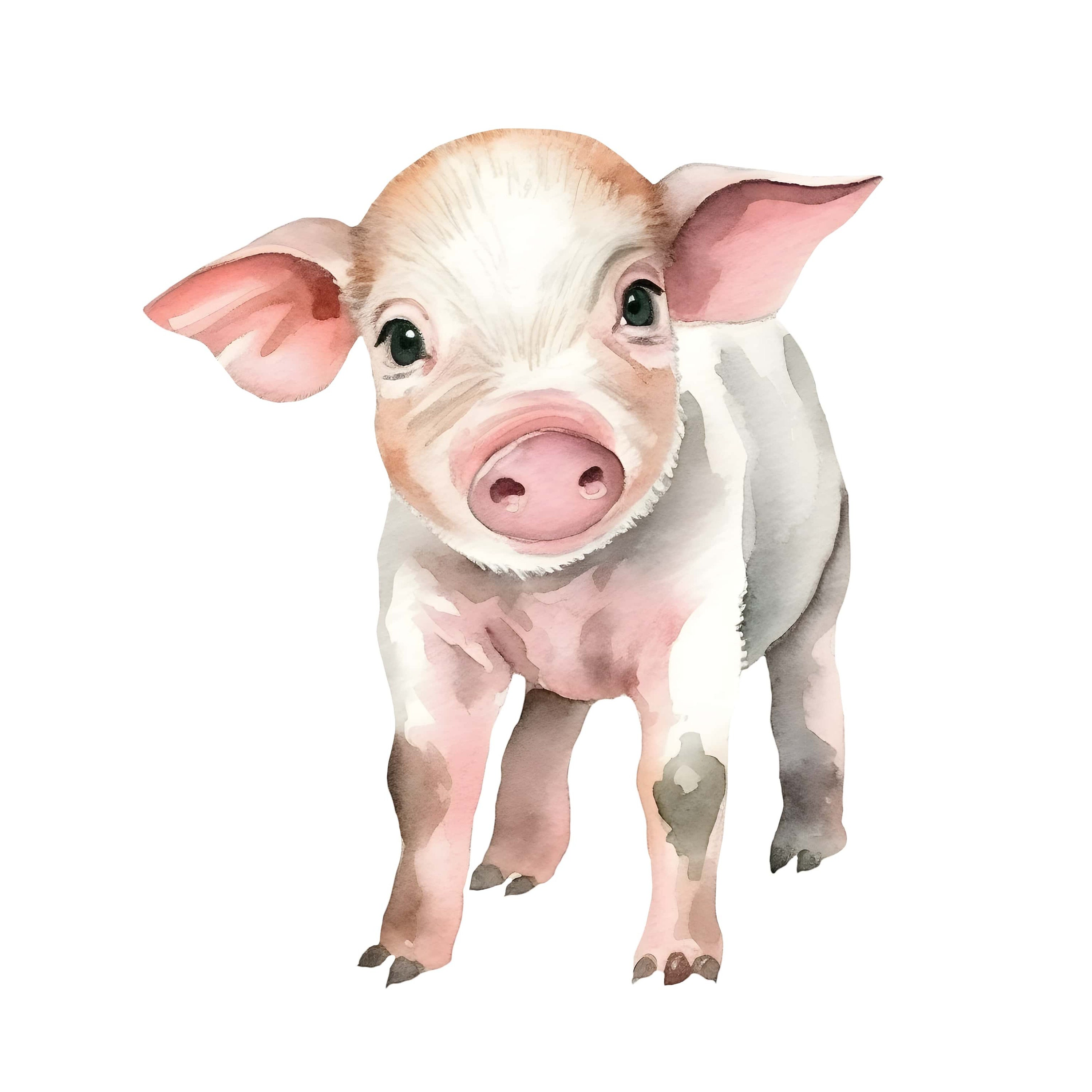 10 Watercolor Pig Clipart, Aquarelle Pig Clipart, Farm Animals, PNG ...