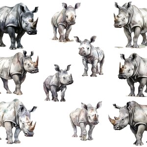 60 Watercolor Savanna Animal Clipart, Aquarelle Elephant Giraffe Lion ...