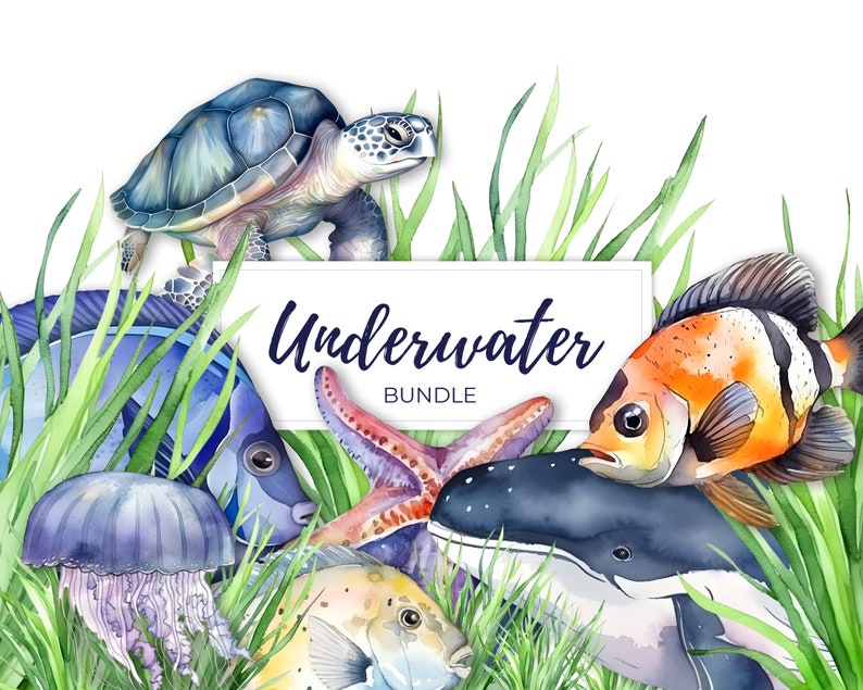 55 Watercolor Water Creature Clipart Aquarelle Drawing Sea - Etsy