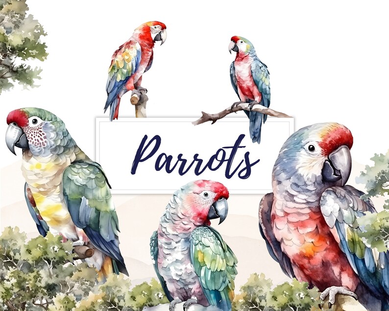 10 Watercolor Parrot Clipart, Aquarelle Nature Animal Bird Parrot ...