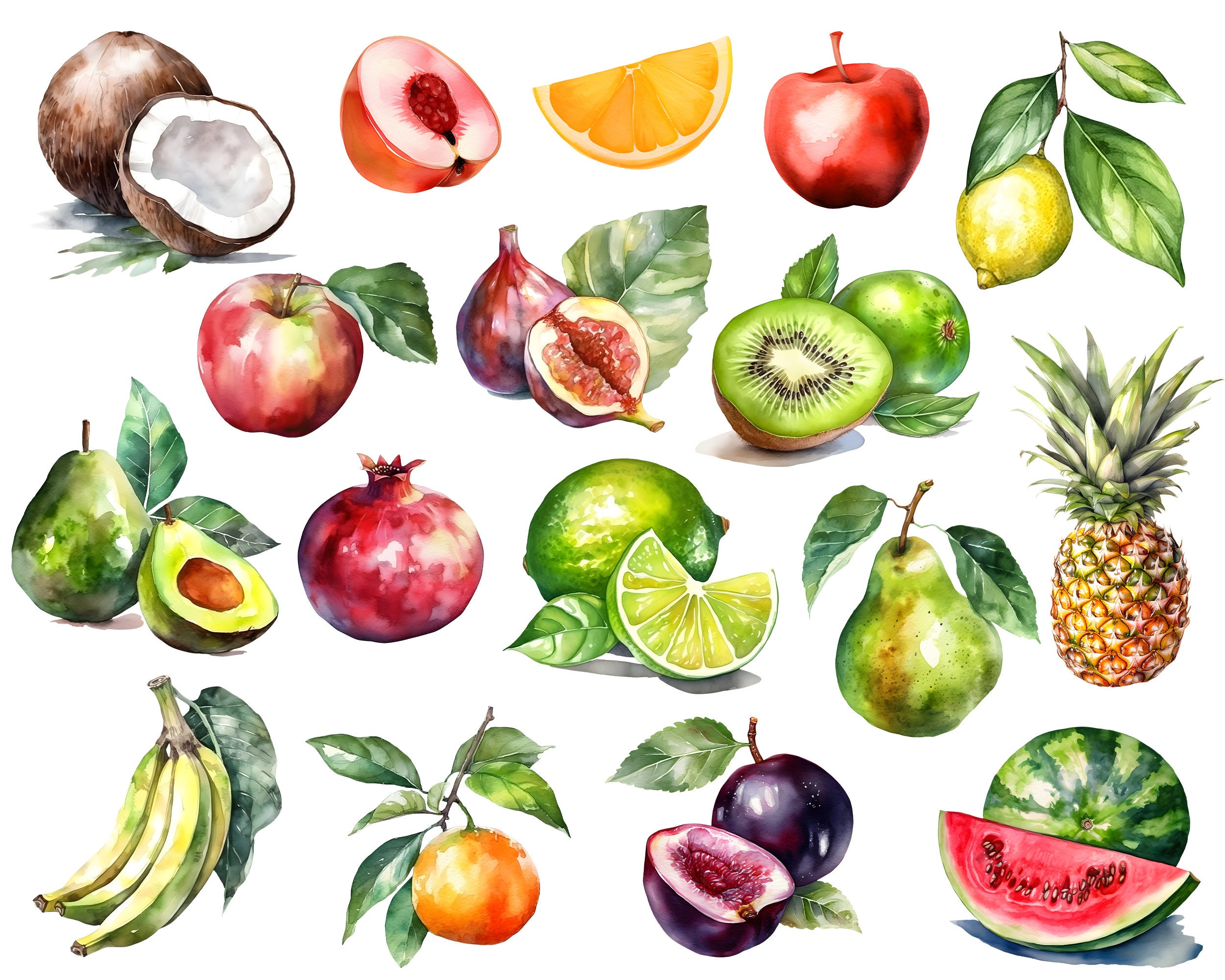 55 Watercolor Fruit Berry Clipart, Aquarelle Food Fruit Berry Clipart ...