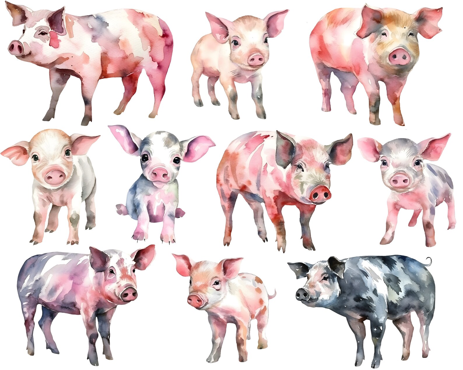 10 Watercolor Pig Clipart, Aquarelle Pig Clipart, Farm Animals, PNG ...