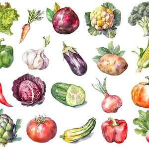 20 Watercolor Vegetables Clipart, Aquarelle Vegetables Clipart, Farm ...