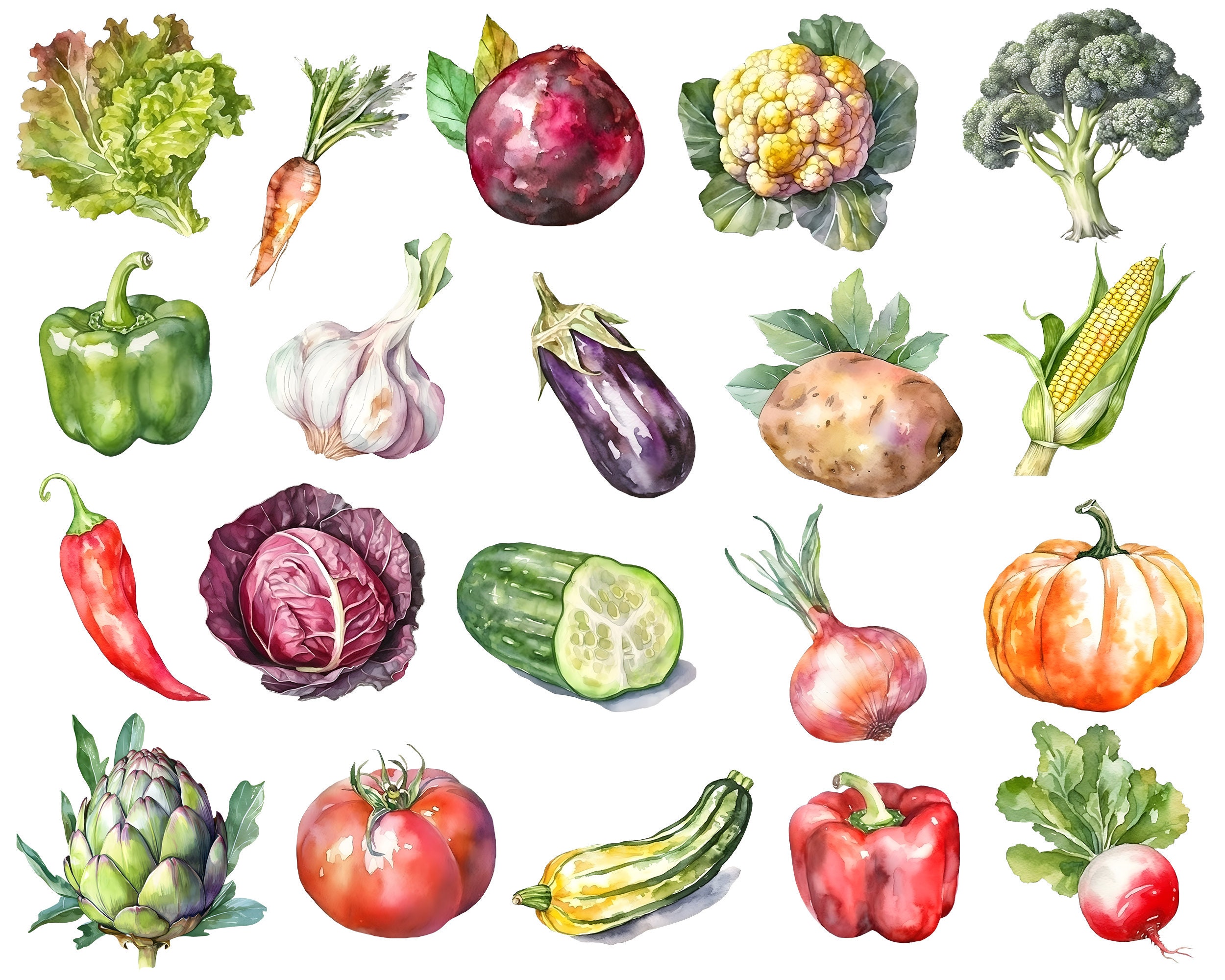 20 Watercolor Vegetables Clipart, Aquarelle Vegetables Clipart, Farm ...