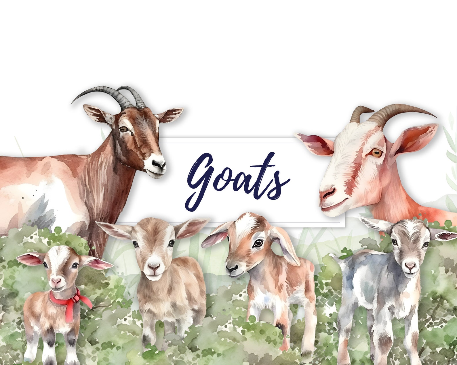 10 Watercolor Goat Clipart, Aquarelle Drawing Goat Clipart, Farm Animal ...