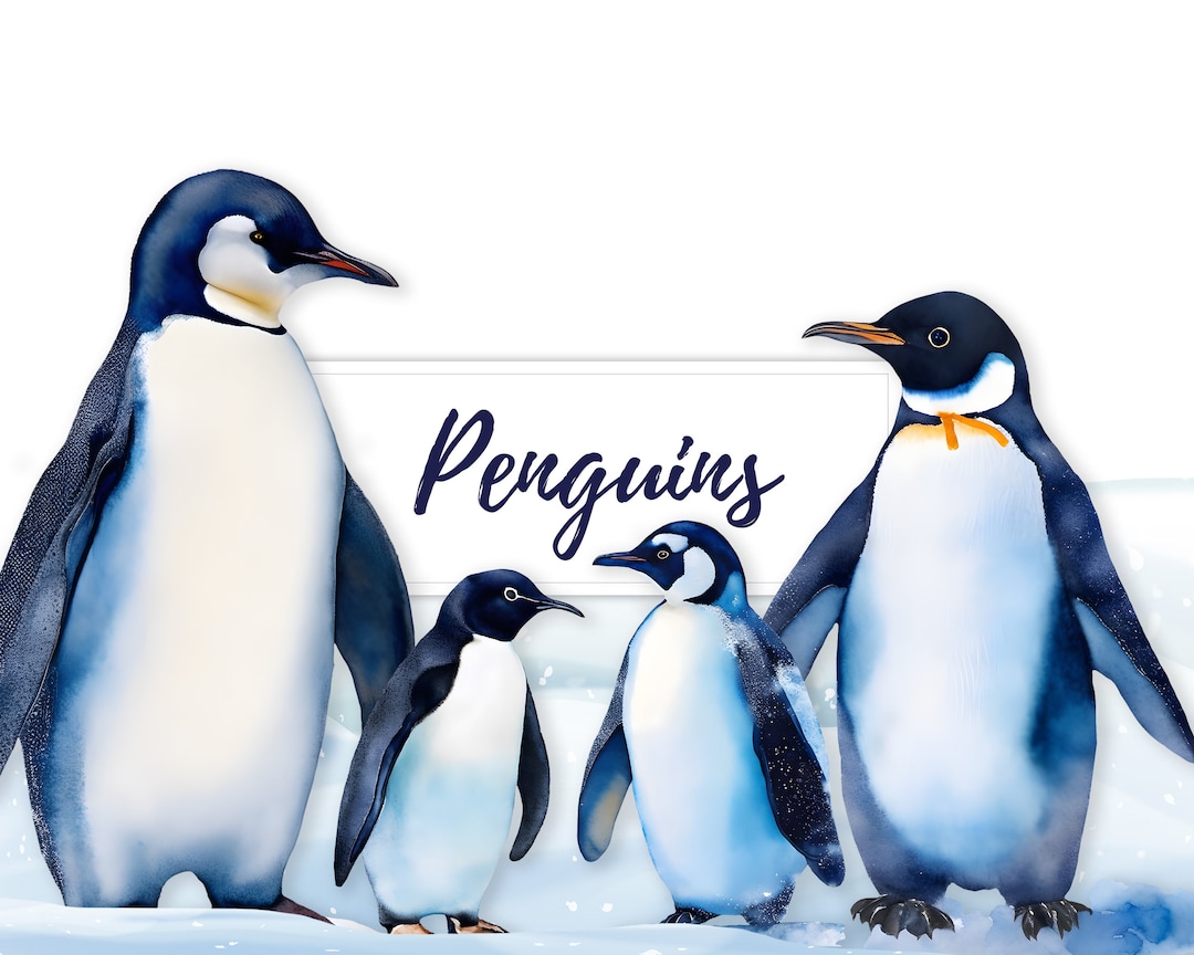 10 Watercolor Penguin Clipart, Aquarelle Drawing Penguin Clipart ...