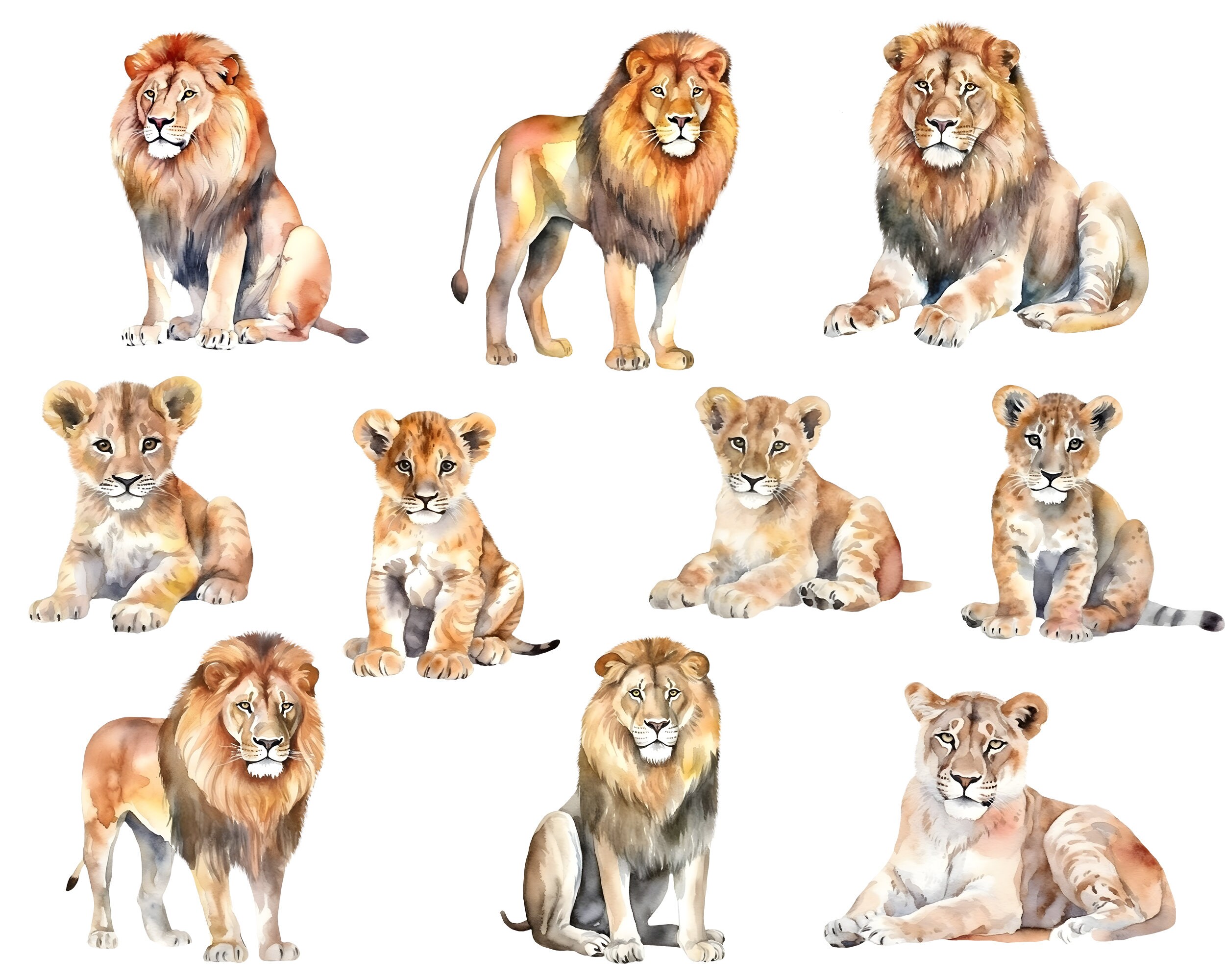 60 Watercolor Savanna Animal Clipart, Aquarelle Elephant Giraffe Lion ...