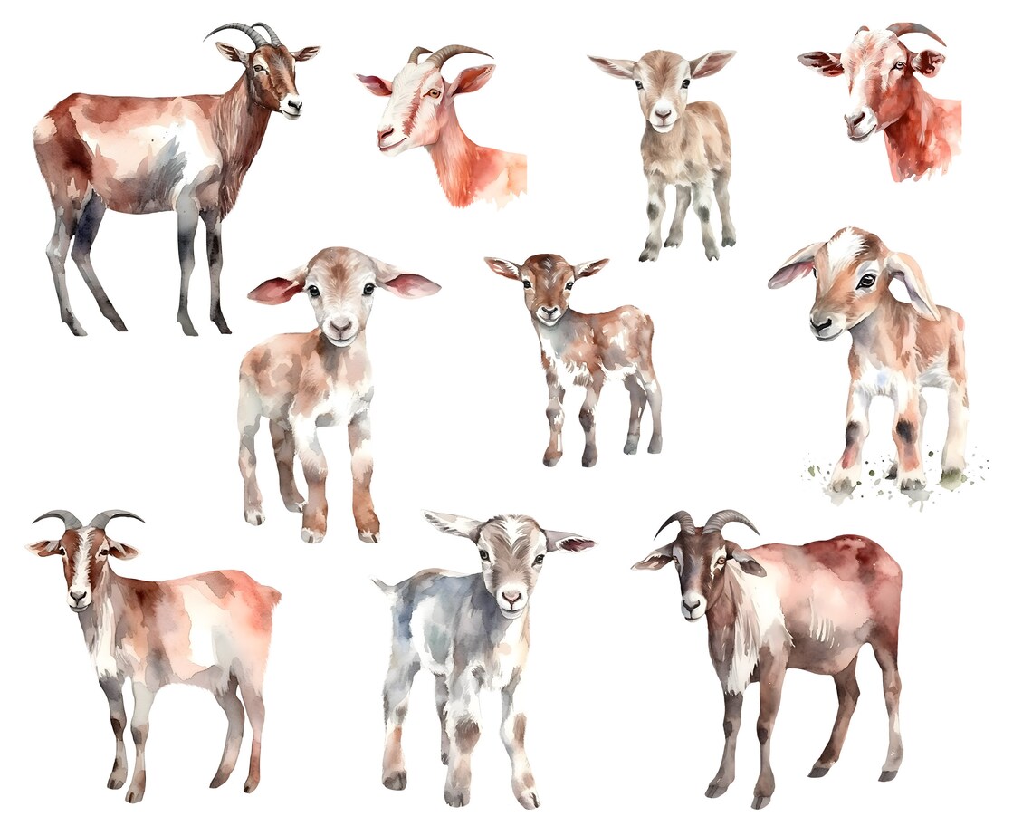 10 Watercolor Goat Clipart Aquarelle Drawing Goat Clipart - Etsy
