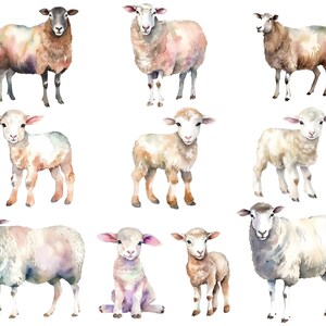 115 Watercolor Farm Animal Clipart, Aquarelle Drawing Chicken Rooster ...