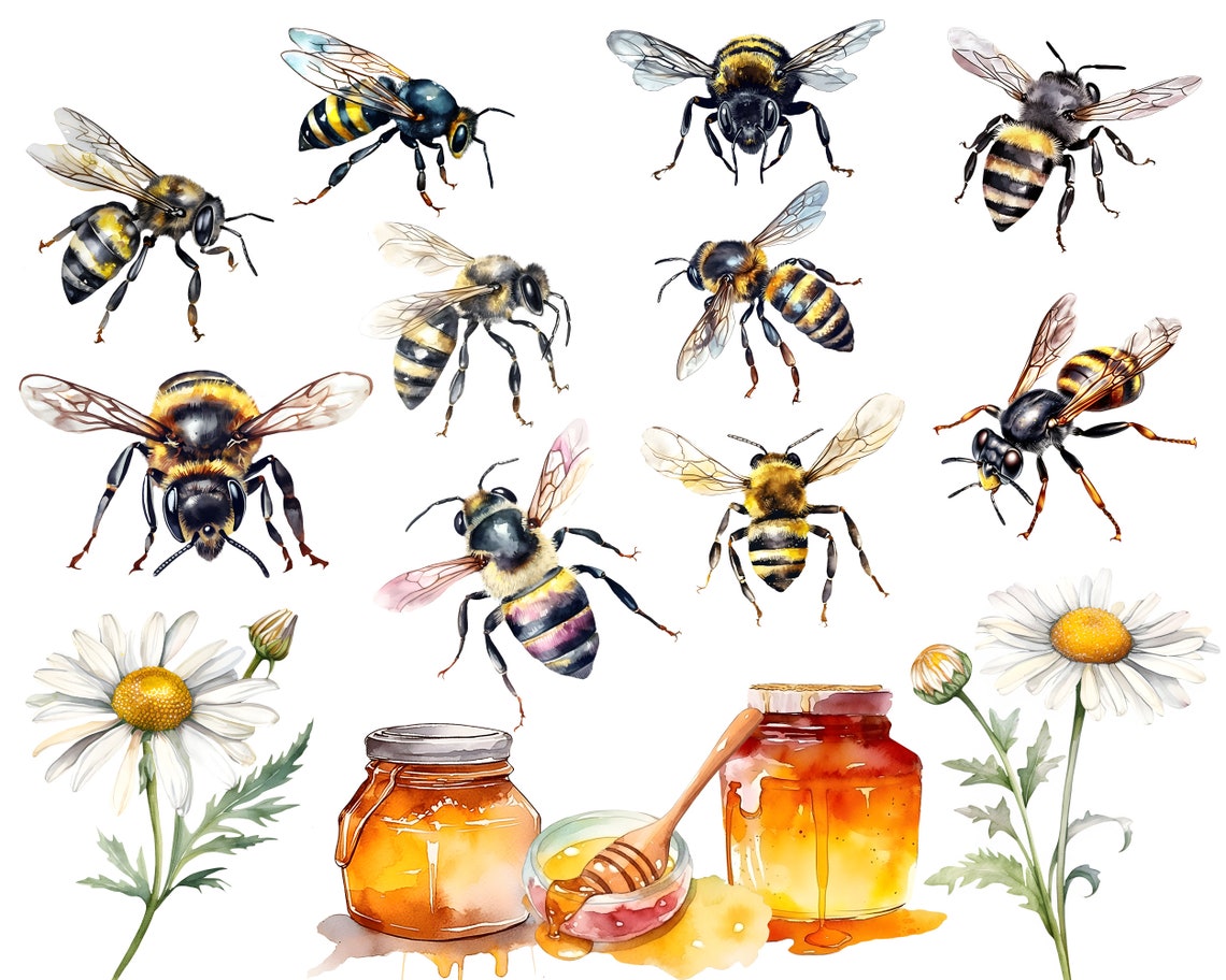 15 Watercolor Bees Clipart, Aquarelle Bees Clipart Wasp Honey ...