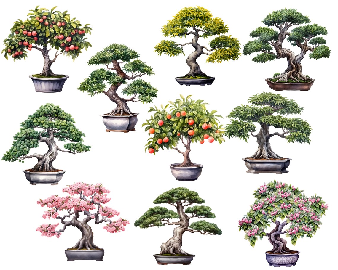 20 Watercolor Bonsai Tree Clipart Aquarelle Drawing Bonsai - Etsy