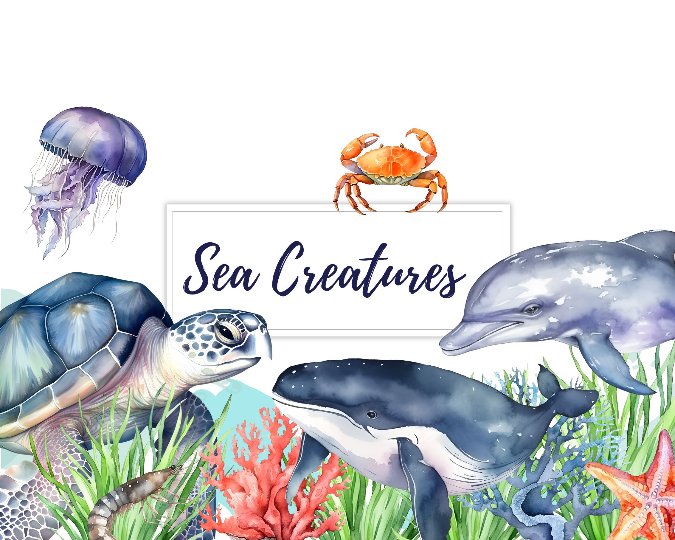 25 Watercolor Sea Animals Clipart, Aquarelle Sea Shark Dolphin Turtle ...
