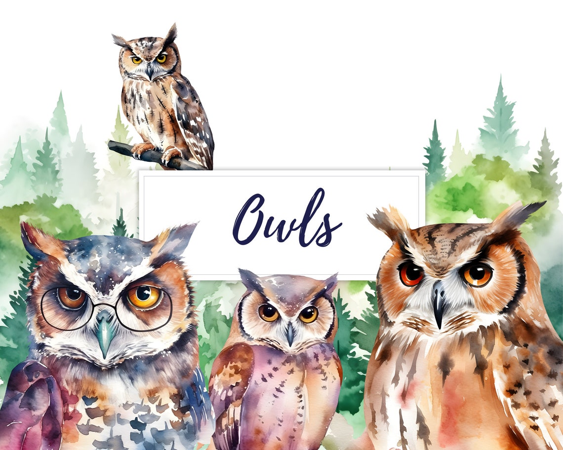 10 Watercolor Owl Clipart Aquarelle Owl Clipart Nature - Etsy