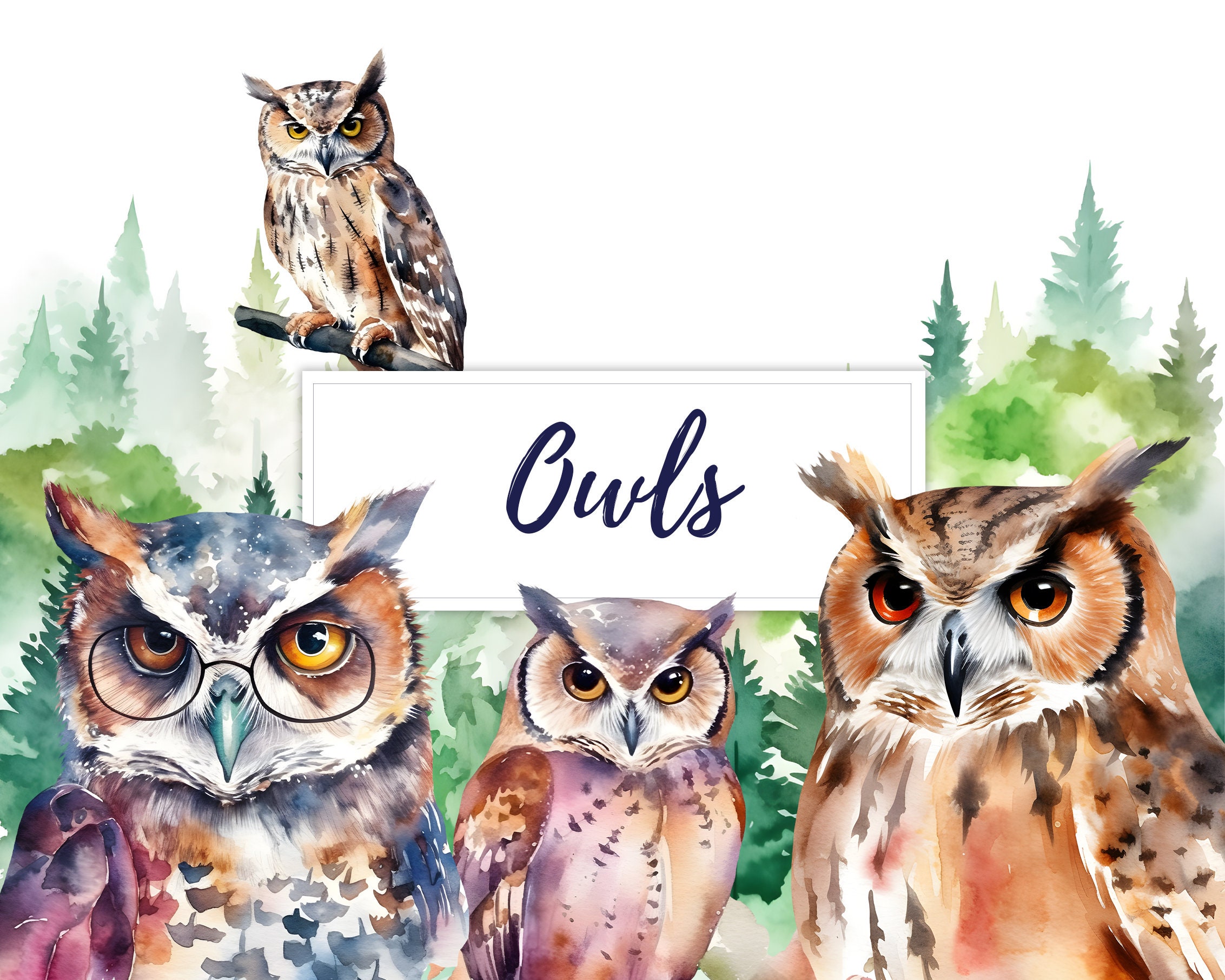 10 Watercolor Owl Clipart Aquarelle Owl Clipart Nature - Etsy