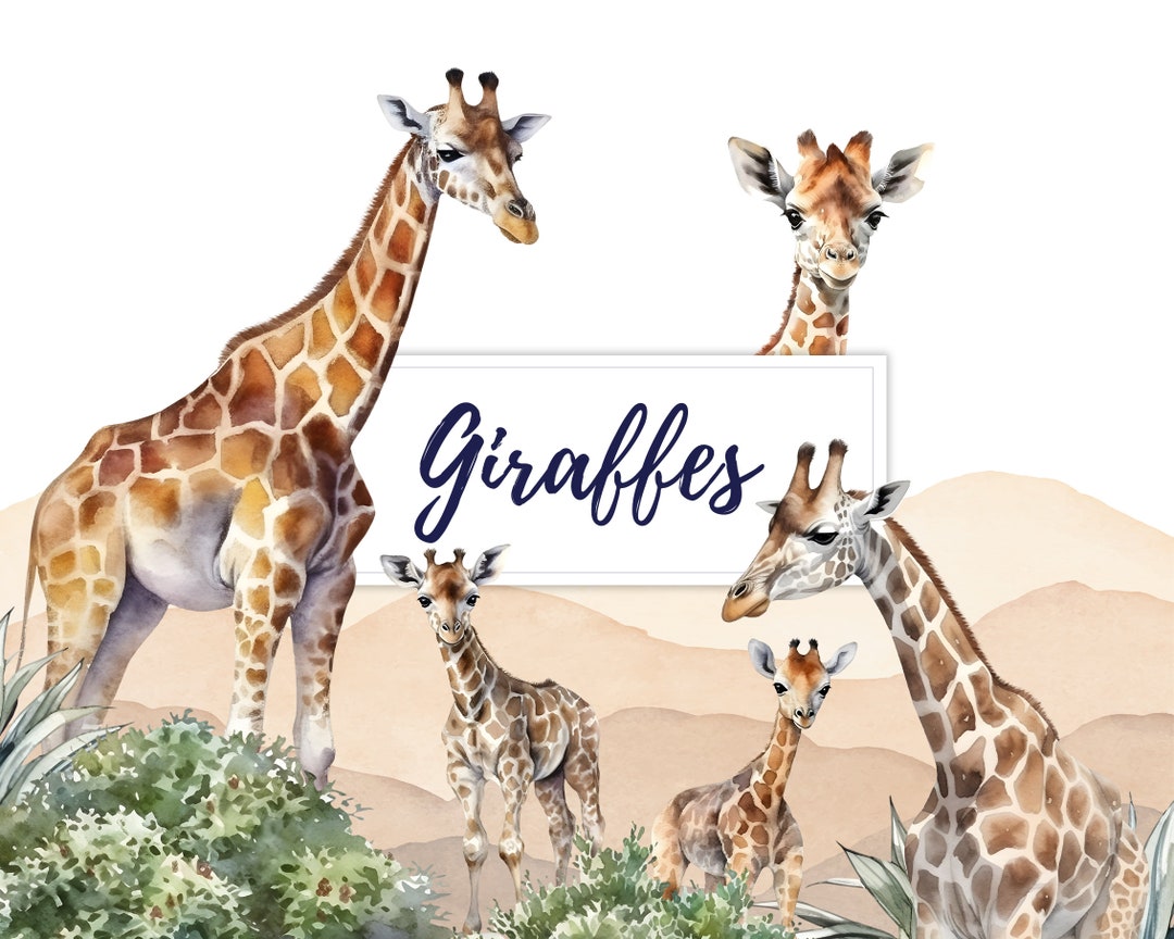 10 Watercolor Giraffe Clipart, Aquarelle Giraffe Clipart, Savanna ...