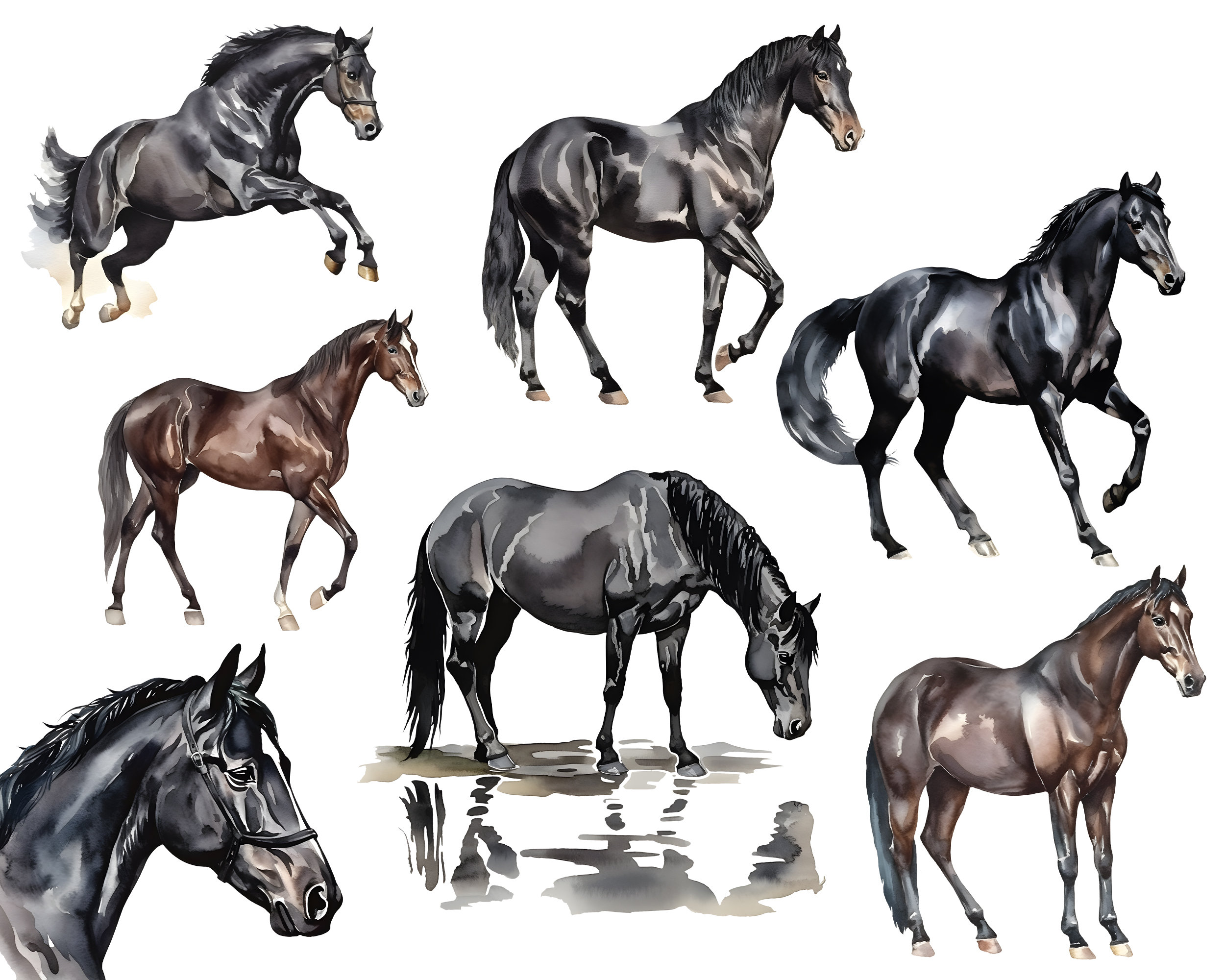 20 Watercolor Horse Clipart Aquarelle Horse Clipart Farm - Etsy