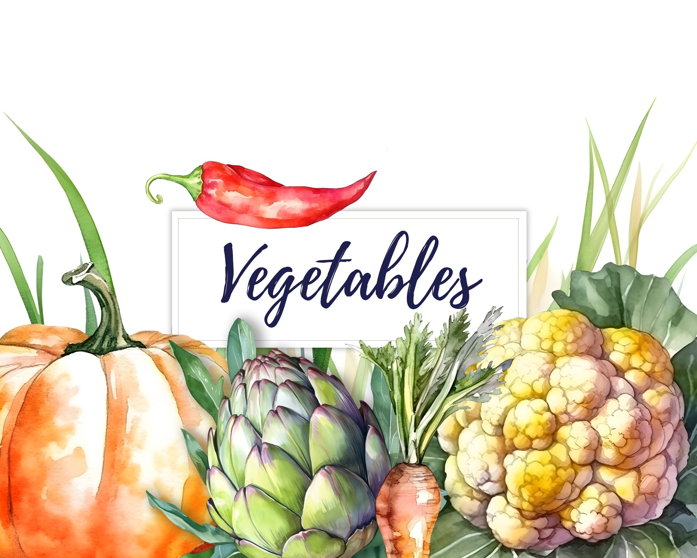 20 Watercolor Vegetables Clipart, Aquarelle Vegetables Clipart, Farm ...