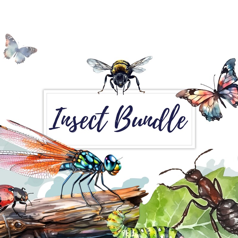 Insect Clipart - Etsy