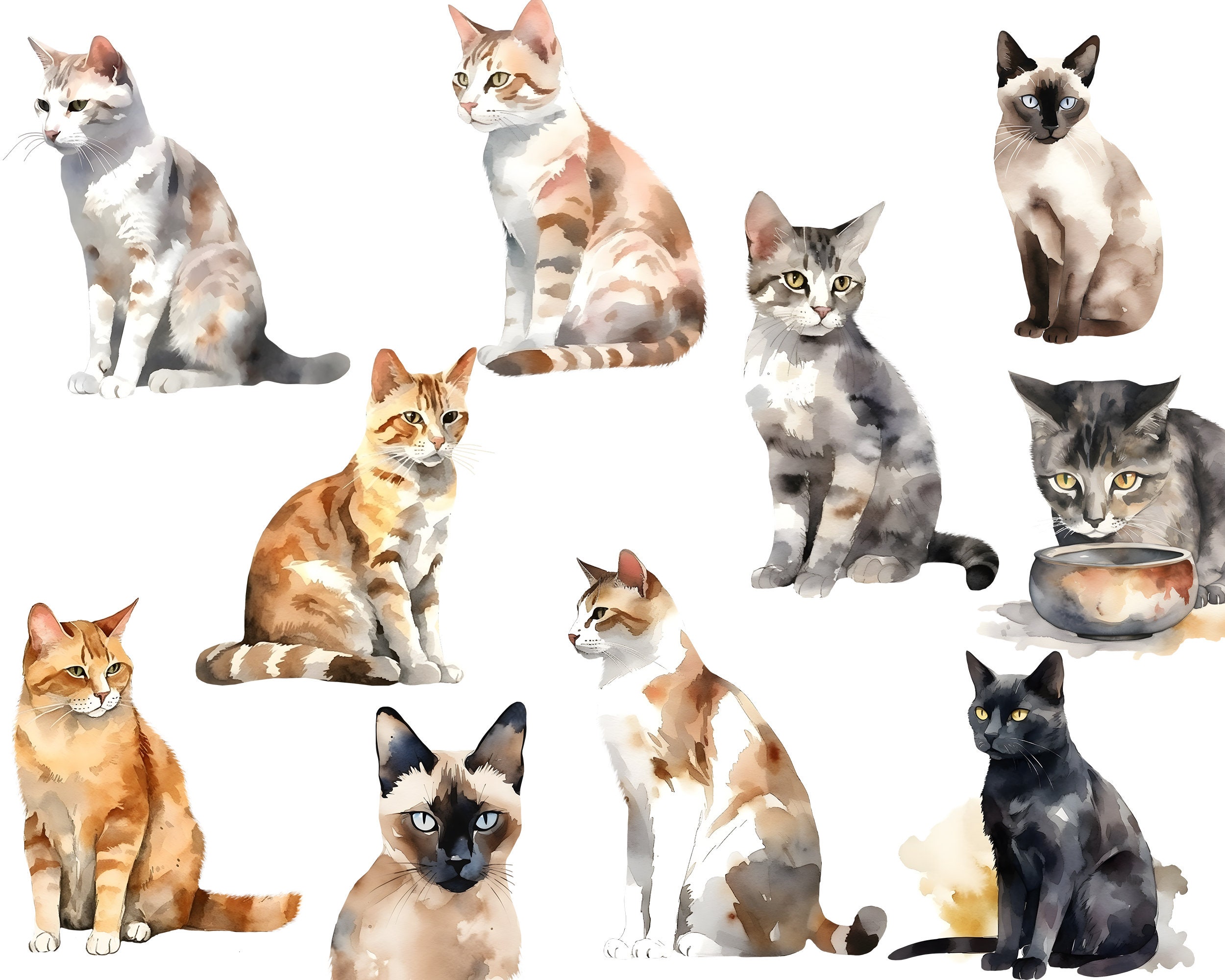 20 Watercolor Cats & Watercolor Dogs Aquarelle Clipart PNG - Etsy