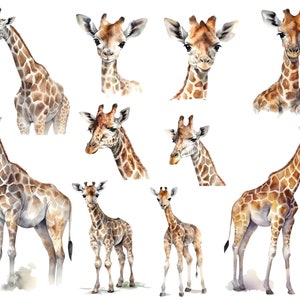 60 Watercolor Savanna Animal Clipart, Aquarelle Elephant Giraffe Lion ...