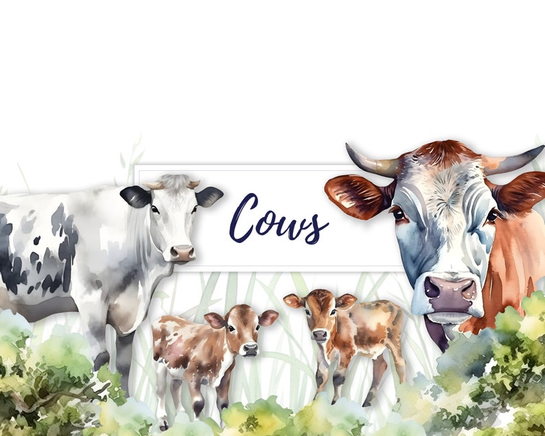 10 Watercolor Cow Clipart, Aquarelle Drawing Cow Calf Clipart, Farm ...
