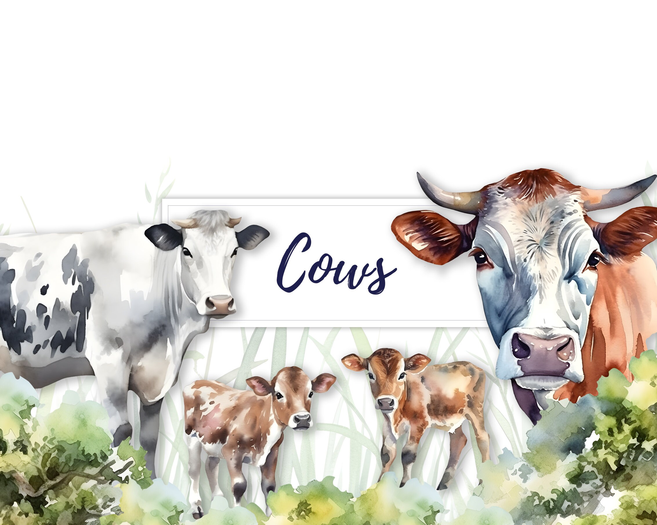 10 Watercolor Cow Clipart, Aquarelle Drawing Cow Calf Clipart, Farm ...