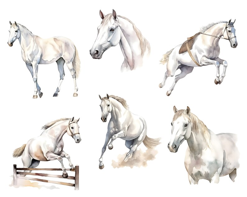 20 Watercolor Horse Clipart Aquarelle Horse Clipart Farm - Etsy