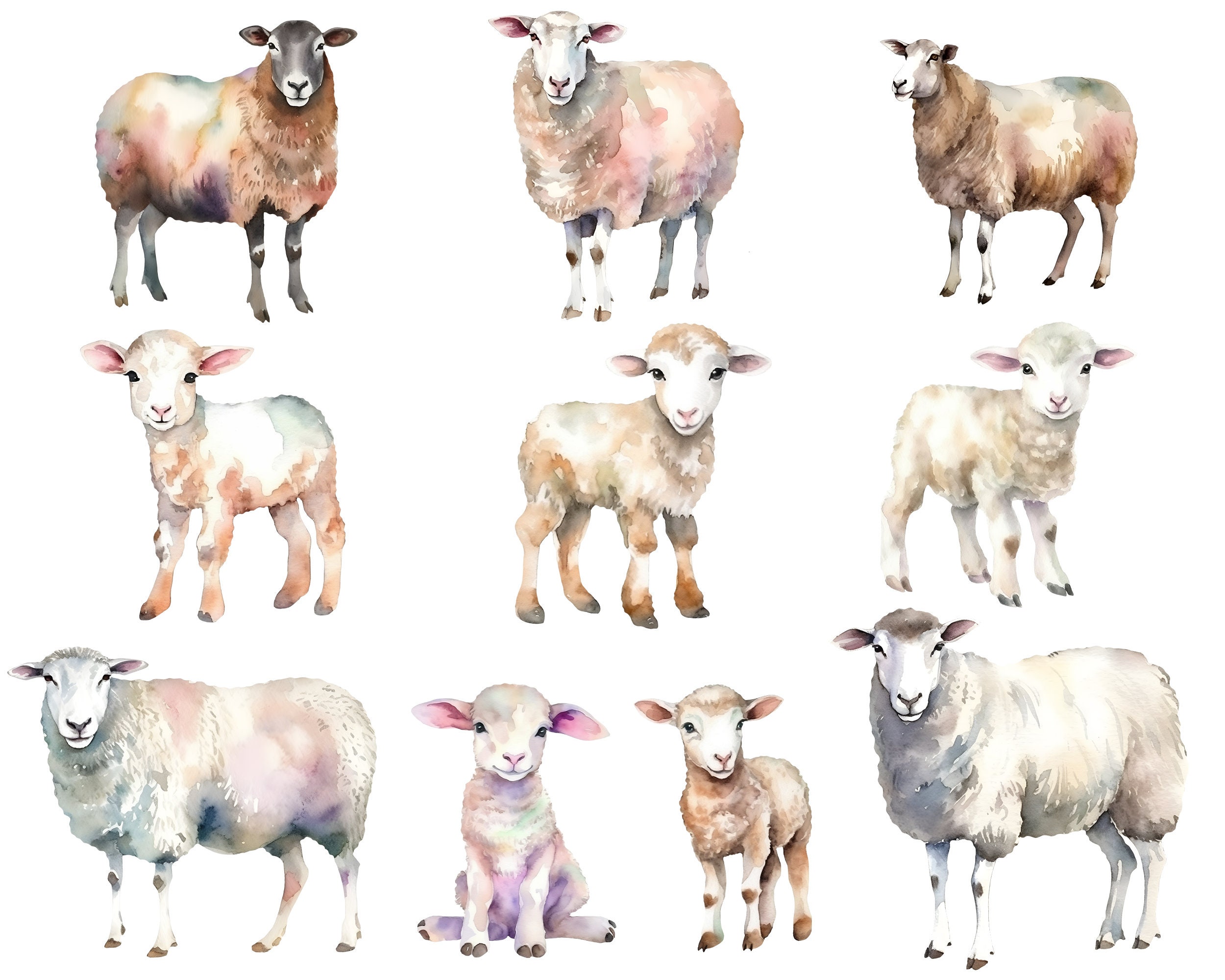 10 Watercolor Sheep Clipart, Aquarelle Drawing Sheep Clipart, Farm ...