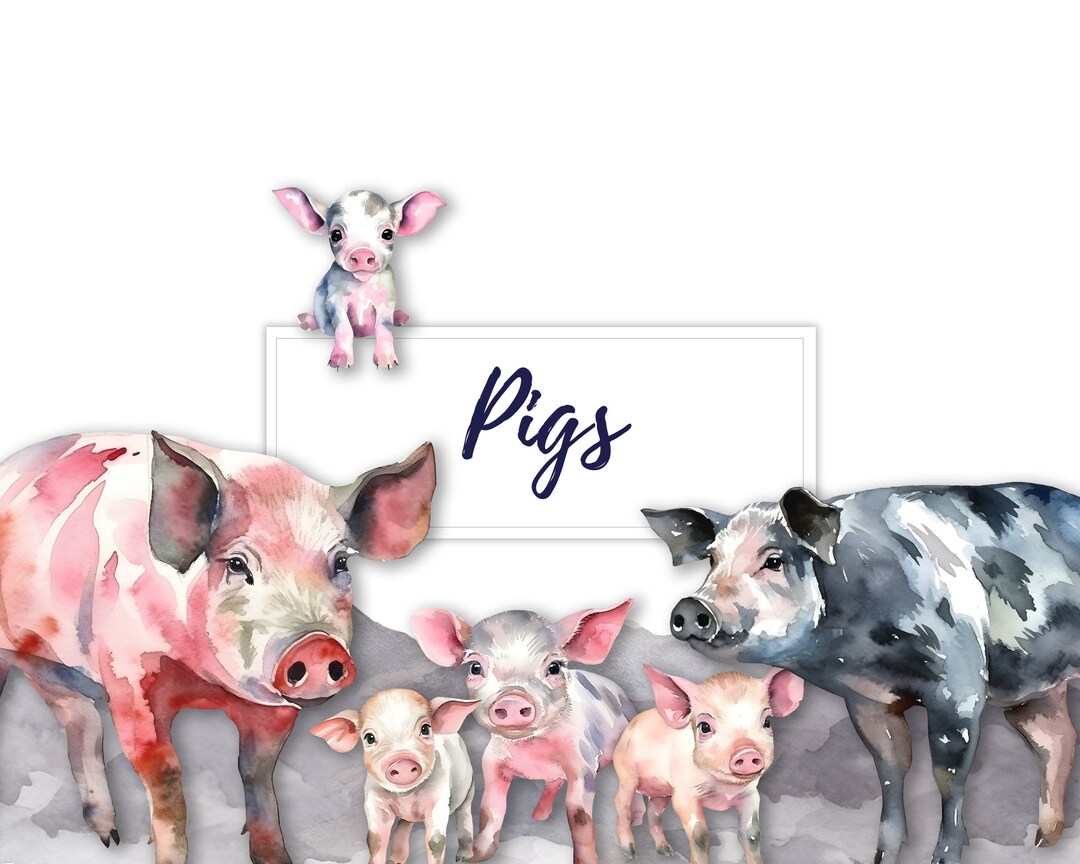 10 Watercolor Pig Clipart, Aquarelle Pig Clipart, Farm Animals, PNG ...