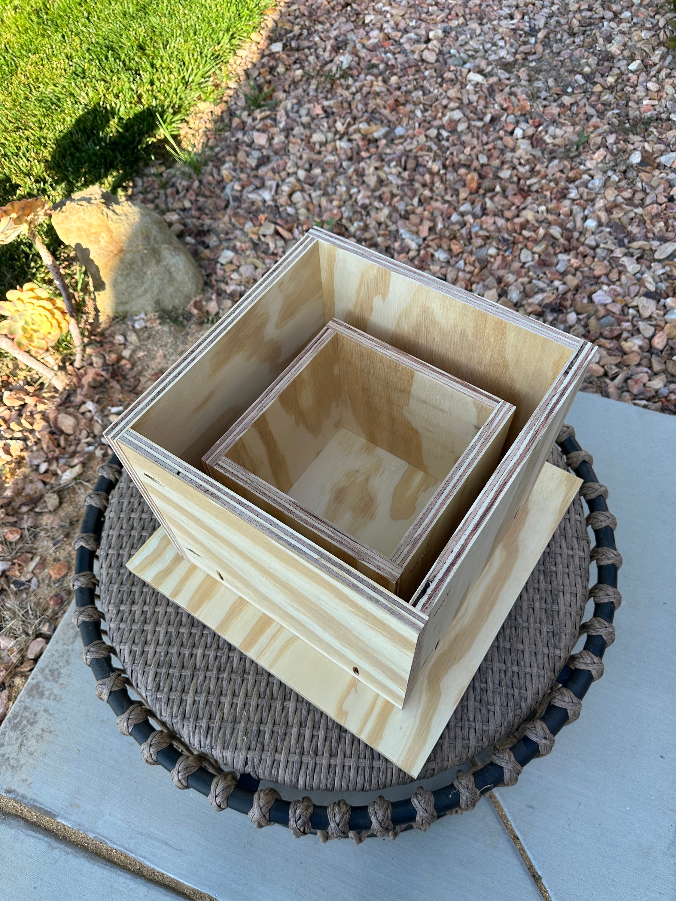 Dog Training Box Feeding: Small Dopamine & Motivation Box - Etsy